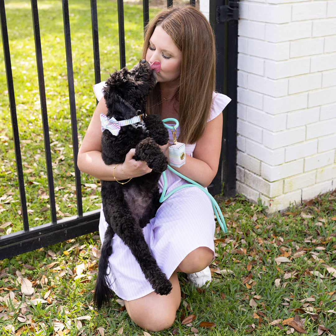 Episode 134: New Dog Survival Guide – Simplified