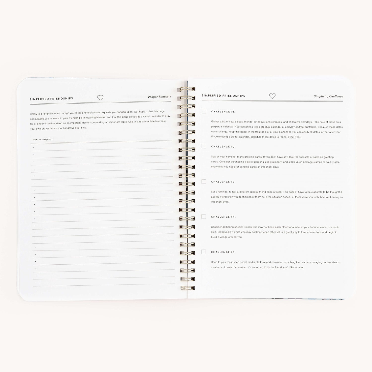 Workbook - Friendship – Simplified